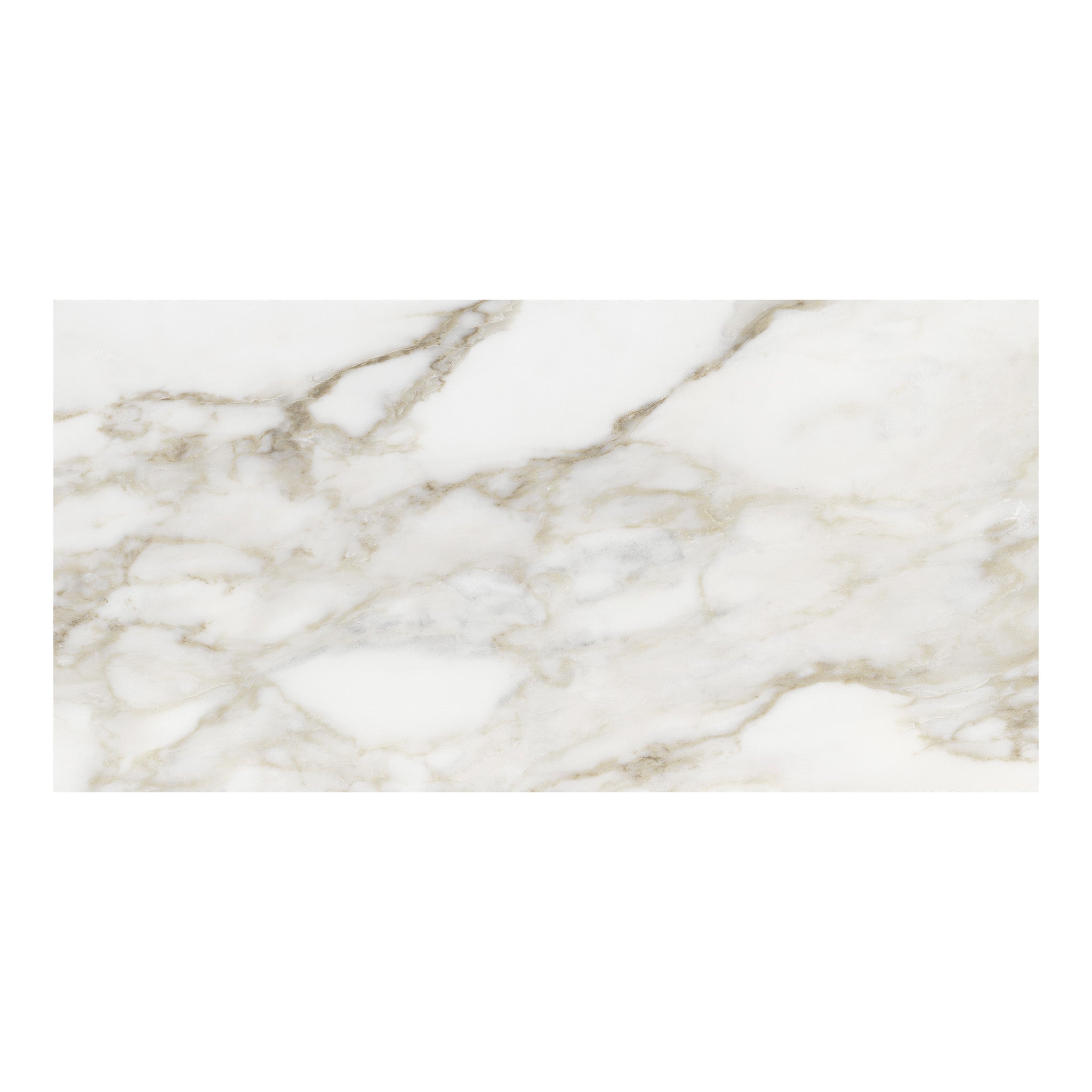 12x24 Lumino Calacatta Matte Pressed Glazed Porcelain Tile