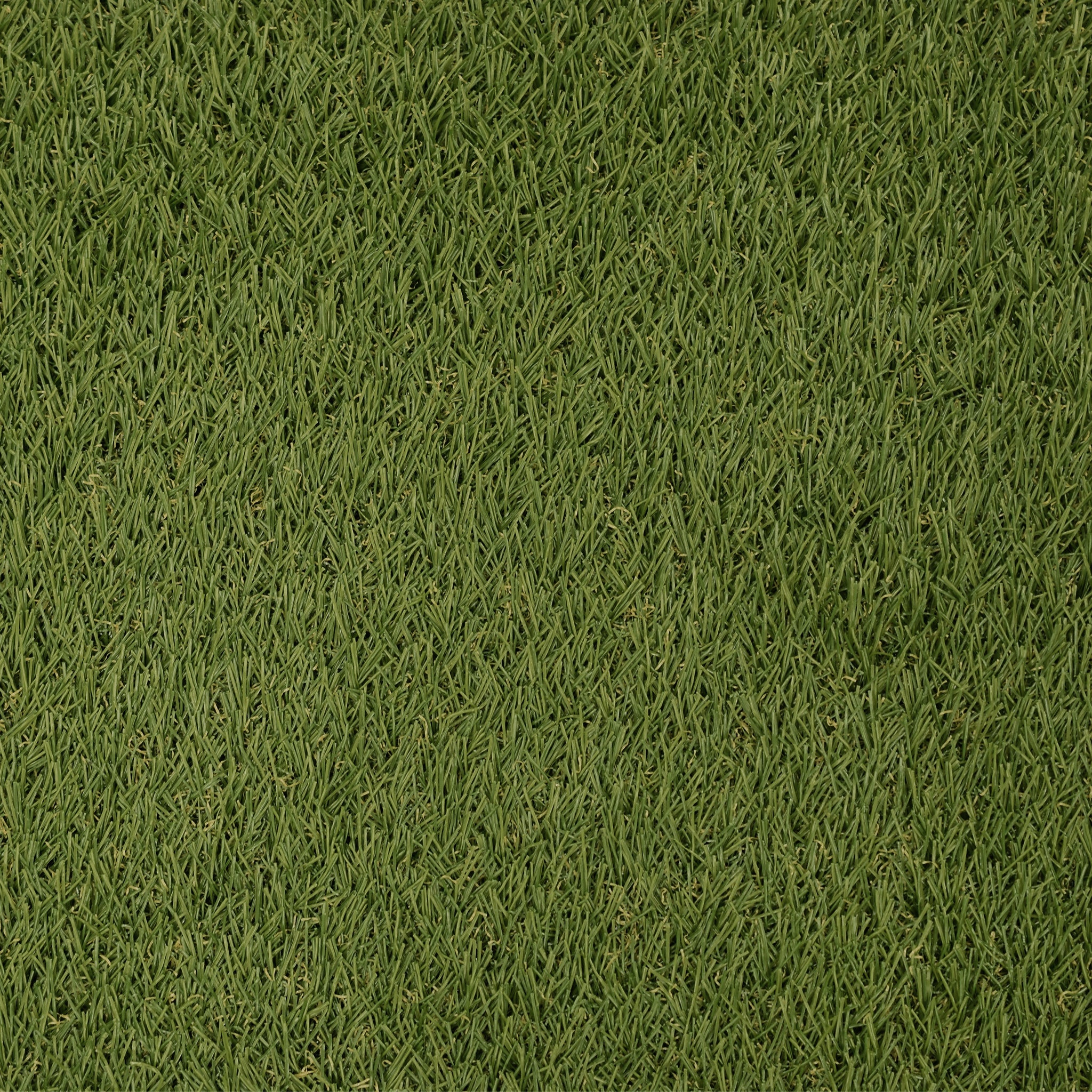 6 ft. x 8 ft. Classic Artificial Green Grass (Pile Height: 25 mm) (48.